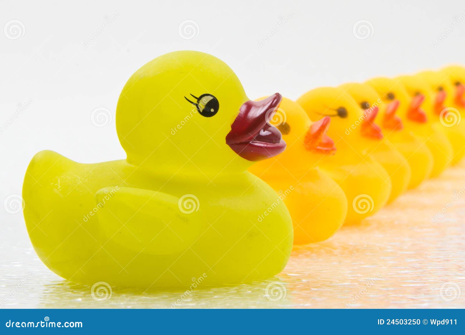 Rubber Ducks in a Row stock photo. Image of rubber, funny - 24503250