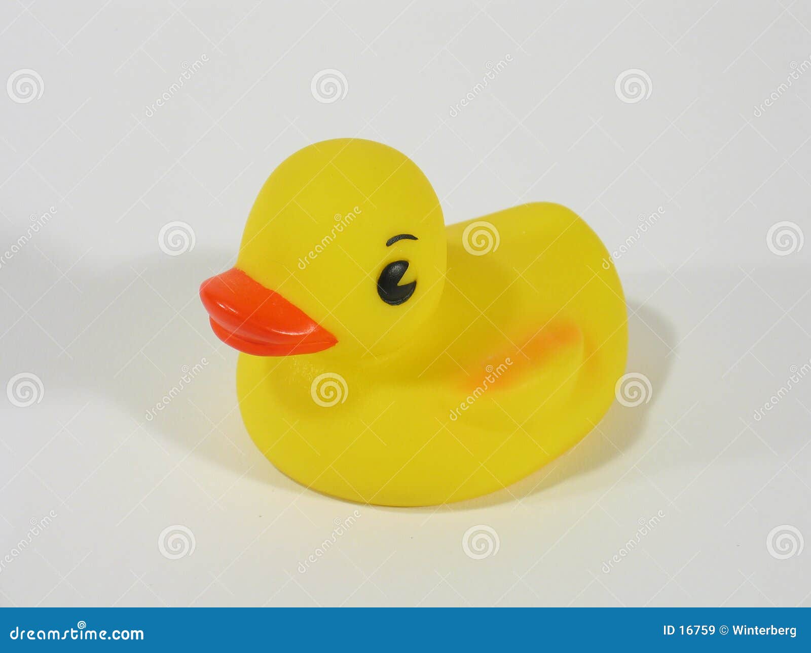 Rubber Ducky stock image. Image of duckling, yellow, closeups - 16759
