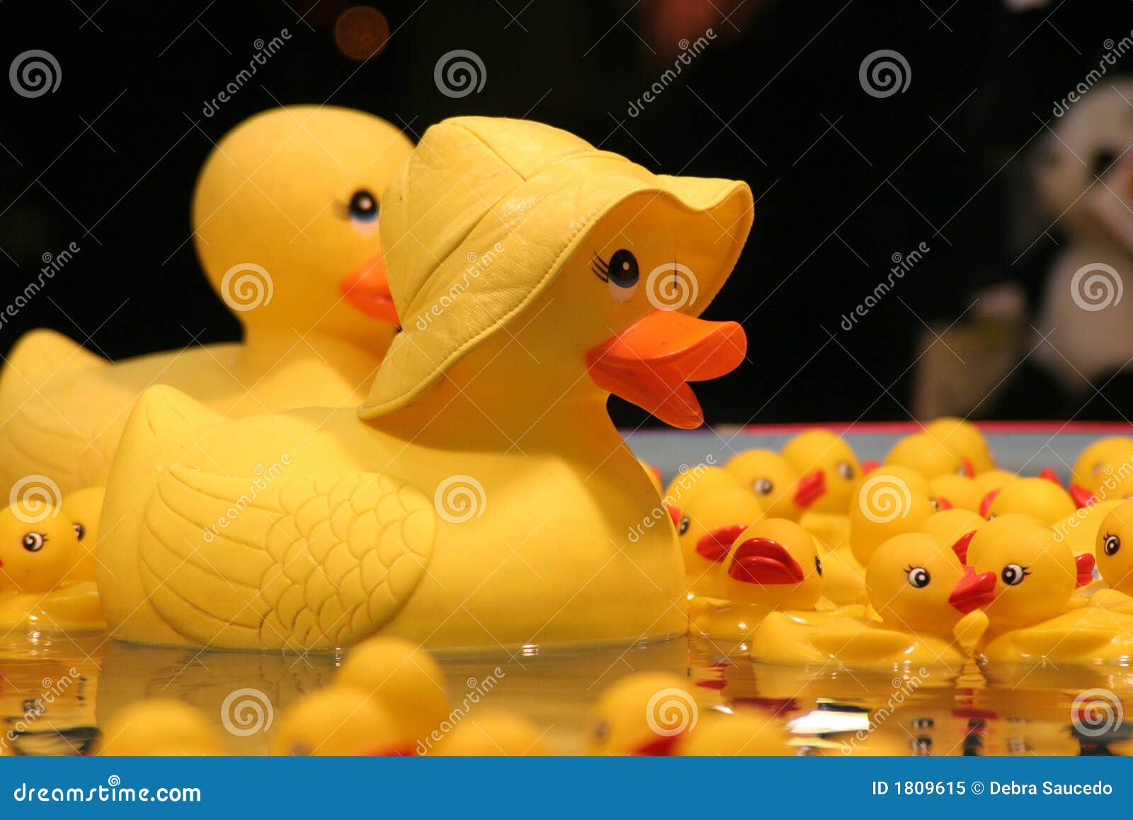 Rubber Ducky stock image. Image of rubber, yellow, ducky - 1809615