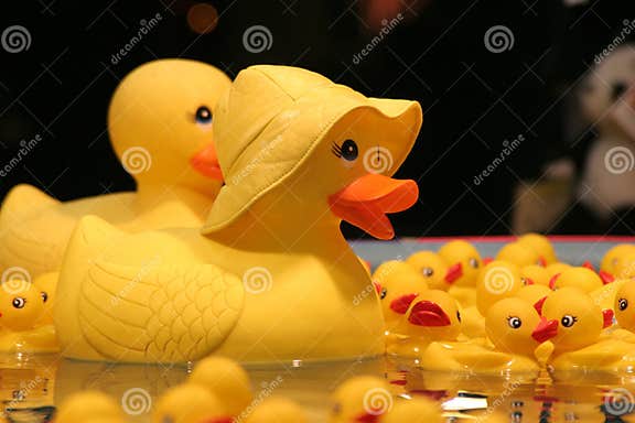 Rubber Ducky stock image. Image of rubber, yellow, ducky - 1809615