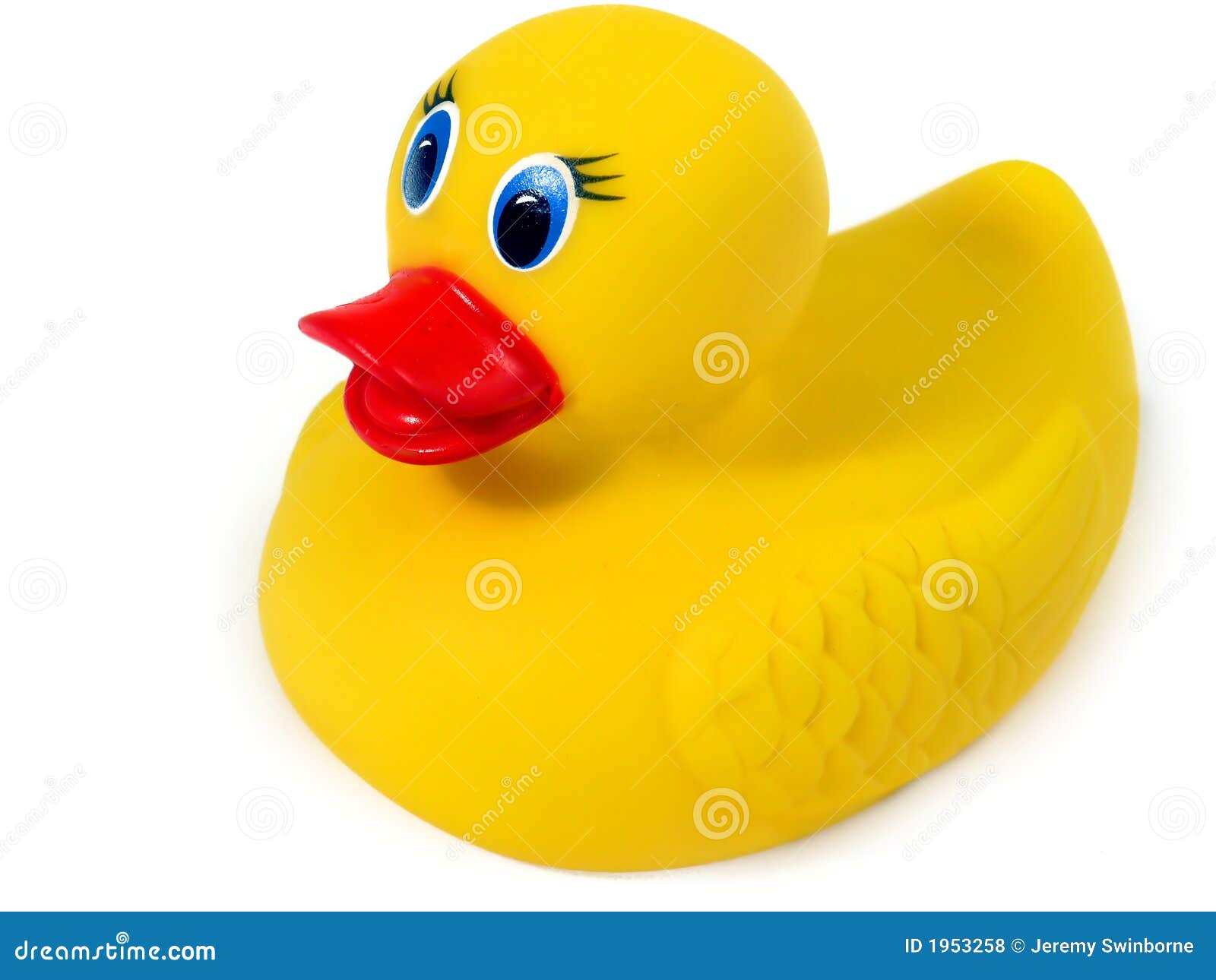 Rubber Ducky stock photo. Image of bath, time, childish - 1953258