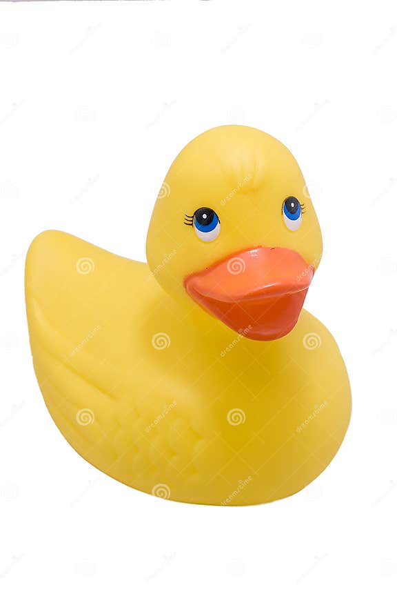 Rubber Ducky stock image. Image of rubber, sqeek, duck - 615249