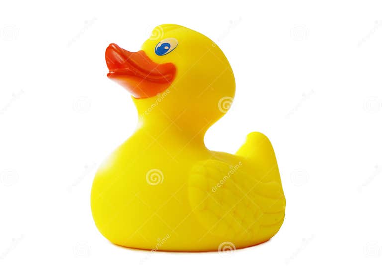 Rubber Ducky stock image. Image of beak, cute, isolated - 8315113