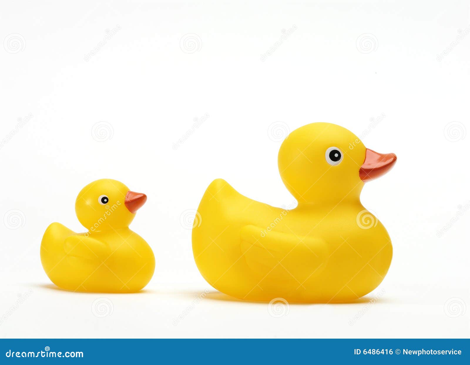 Rubber Duckys stock photo. Image of proud, bath, space - 6486416