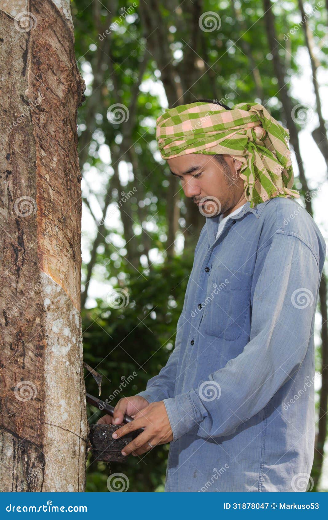 Rubber farmer stock image. Image of latex, portrait, cutting - 31878047