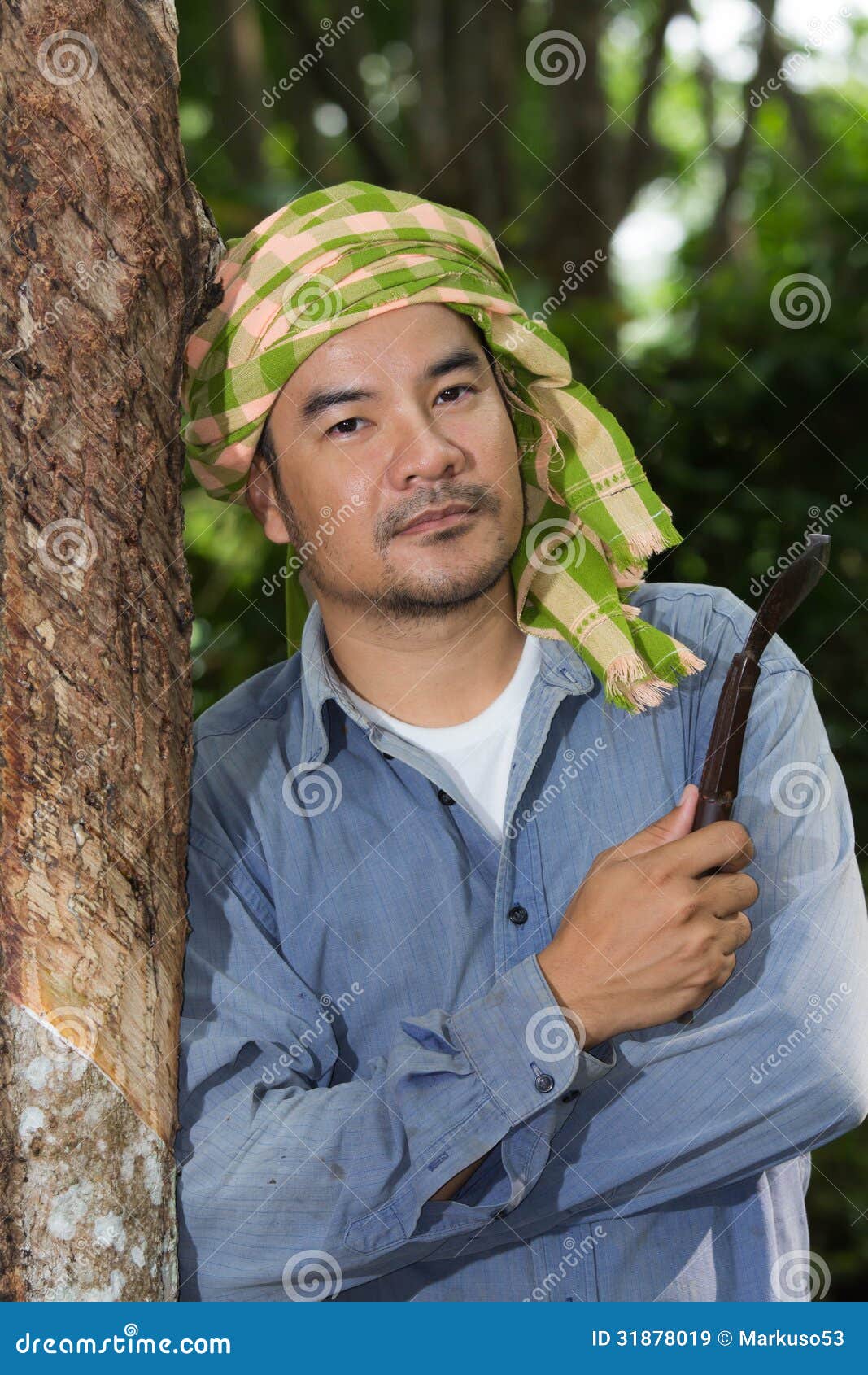 Rubber farmer stock image. Image of plant, people, harvest - 31878019