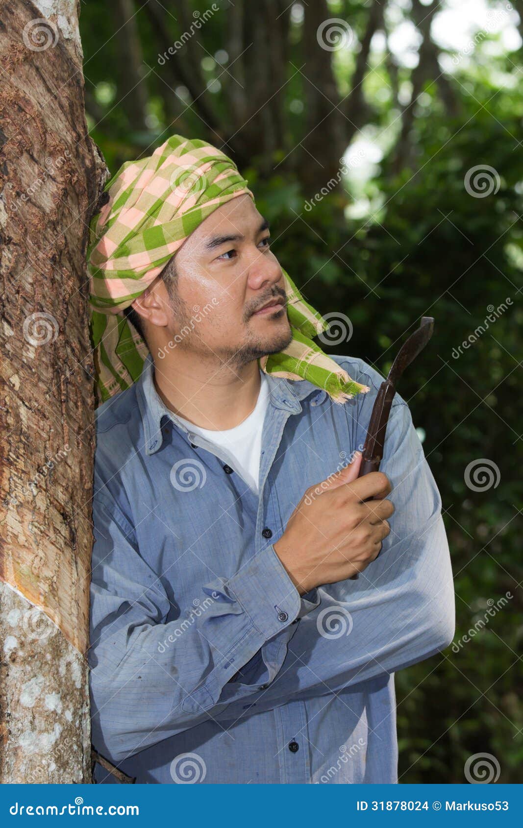 Rubber farmer stock photo. Image of agriculture, plant - 31878024