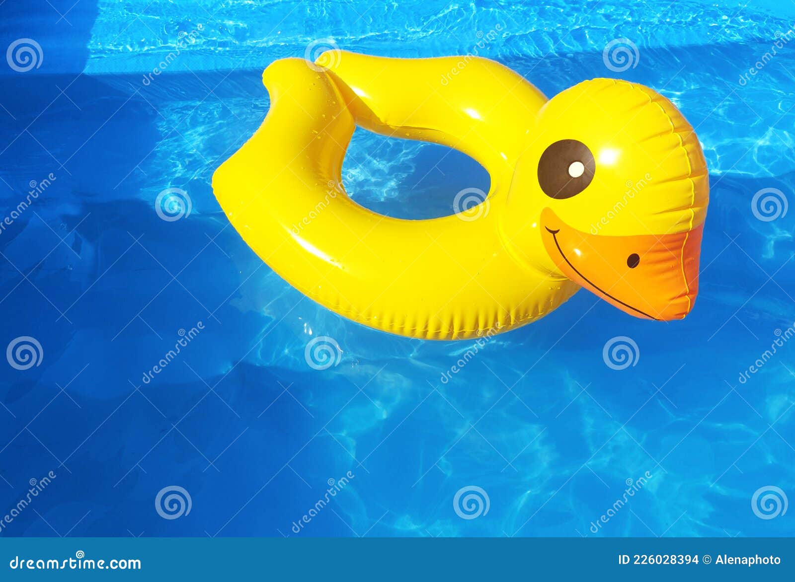 The Rubber Inflatable Duck Floats in the Pool. Stock Photo - Image of ...
