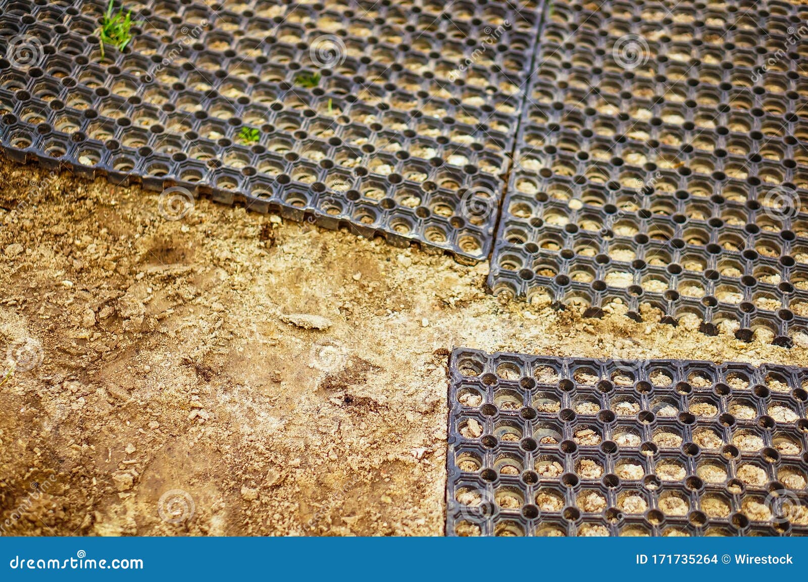 Rubber Mat on Brown Sand with Some Green Plants Stock Photo - Image of ...