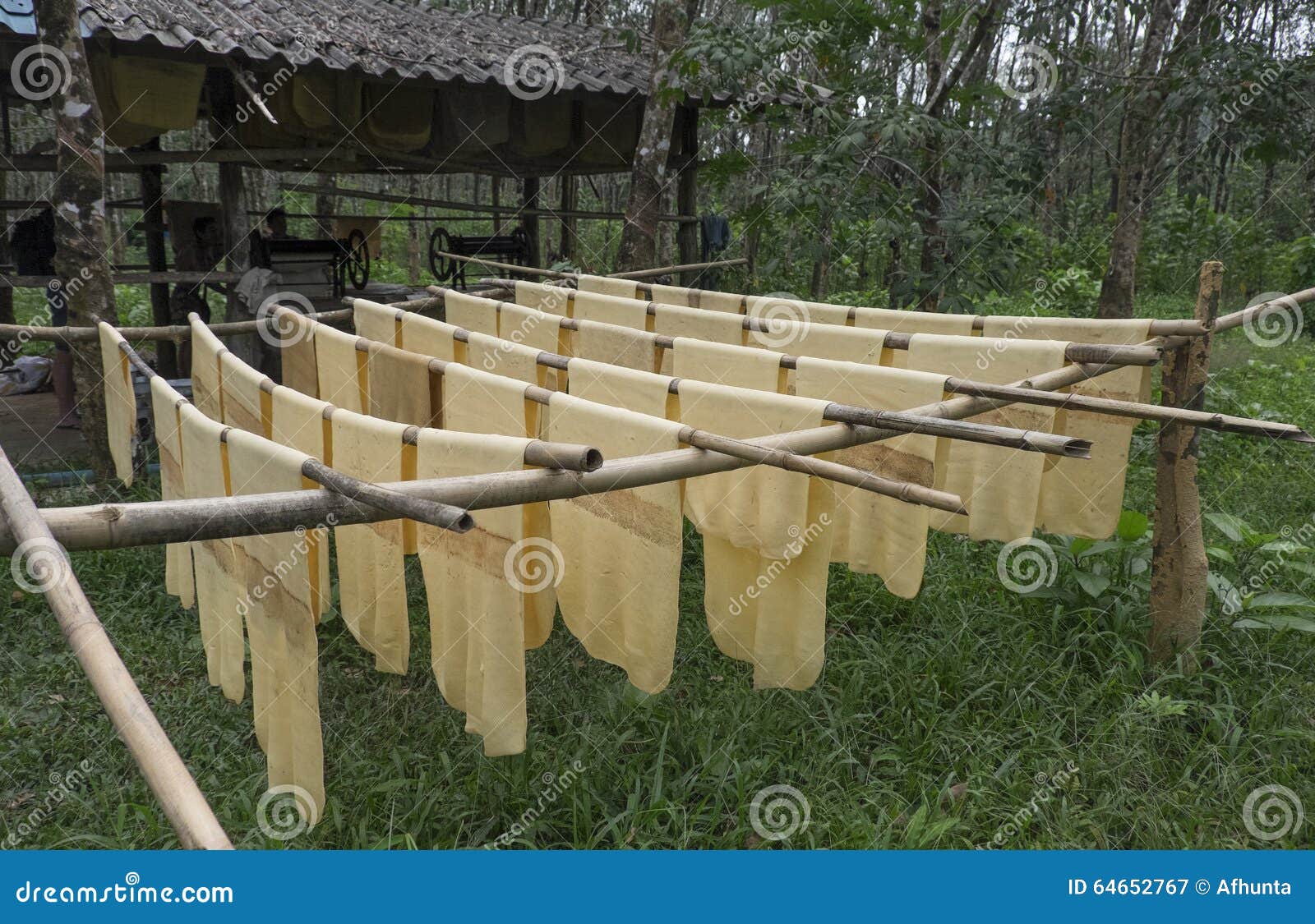 Rubber production editorial photography. Image of latex - 64652767