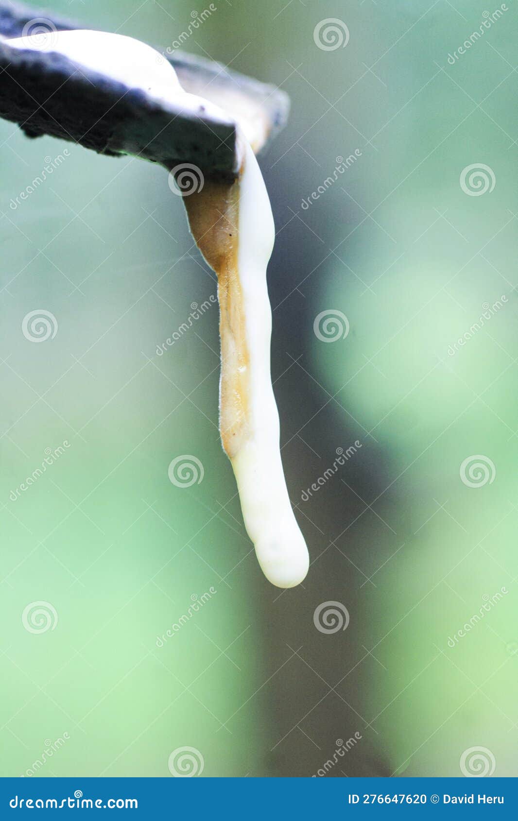 Rubber Drip Irrigation System With Traces Of Blood Along With Vial Of ...