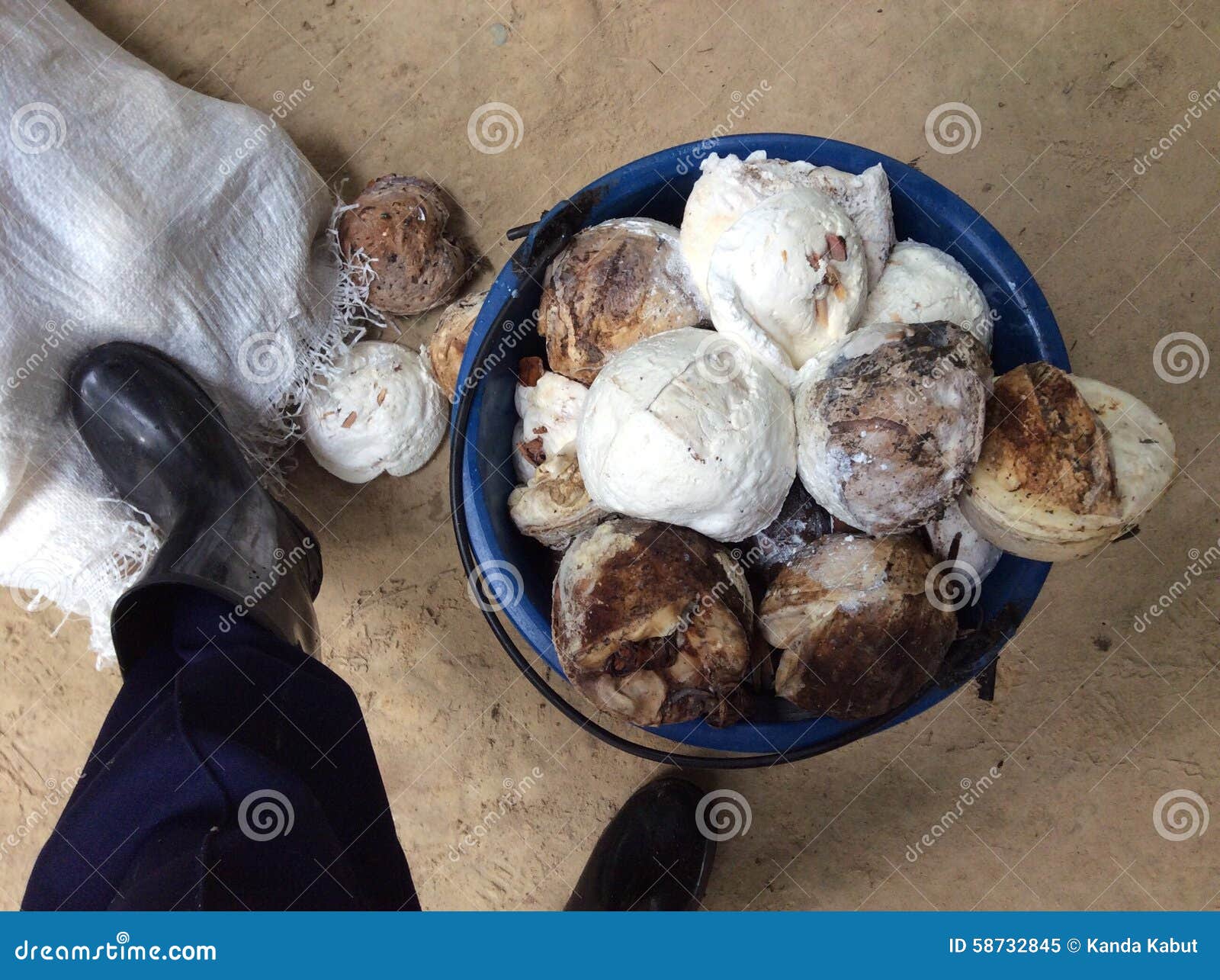 Rubber scrap stock image. Image of business, latex, nascent - 58732845