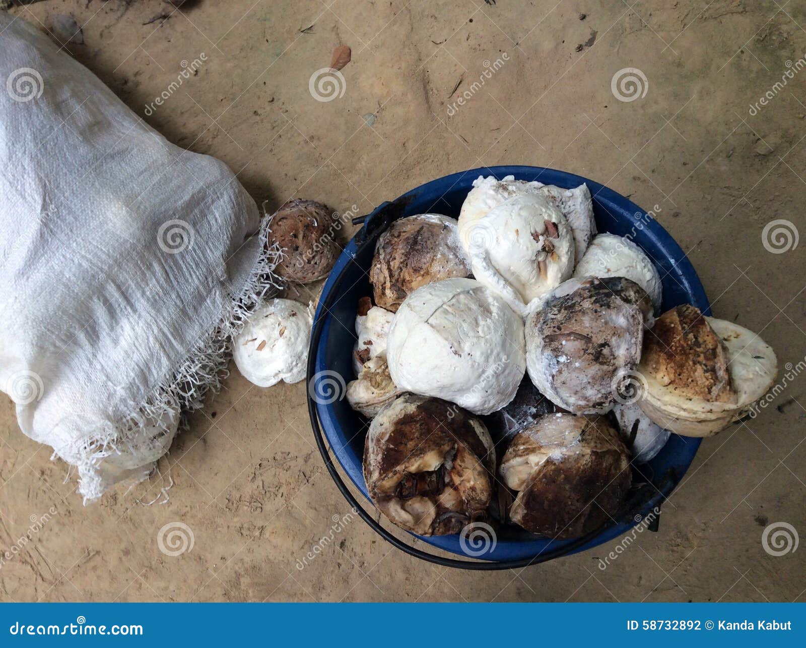 Rubber scrap stock photo. Image of collection, scrap - 58732892