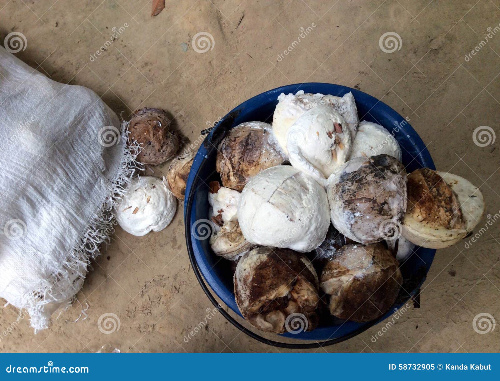 Rubber scrap stock image. Image of scrap, nascent, collection - 58732905