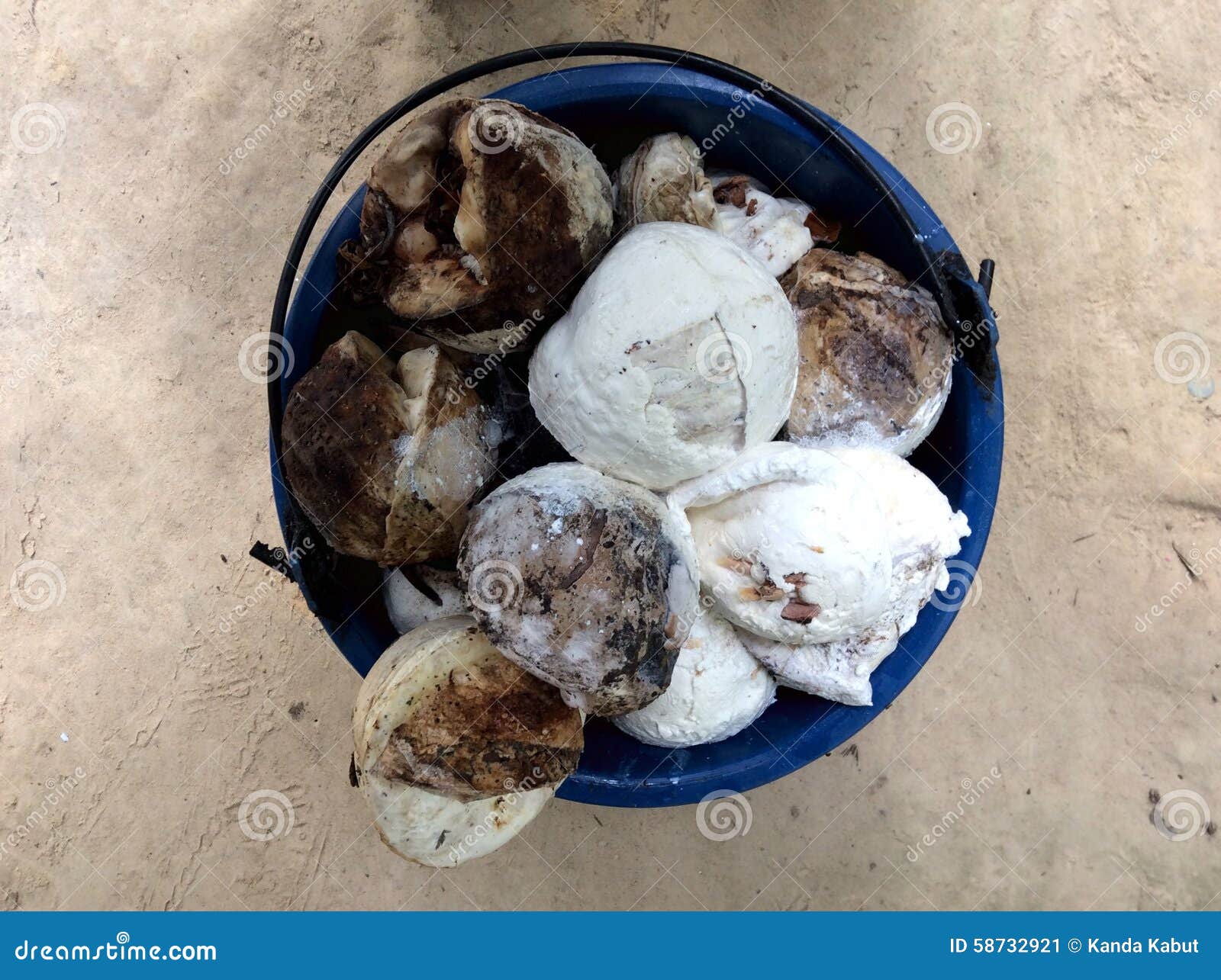 Rubber scrap stock image. Image of collection, nature - 58732921