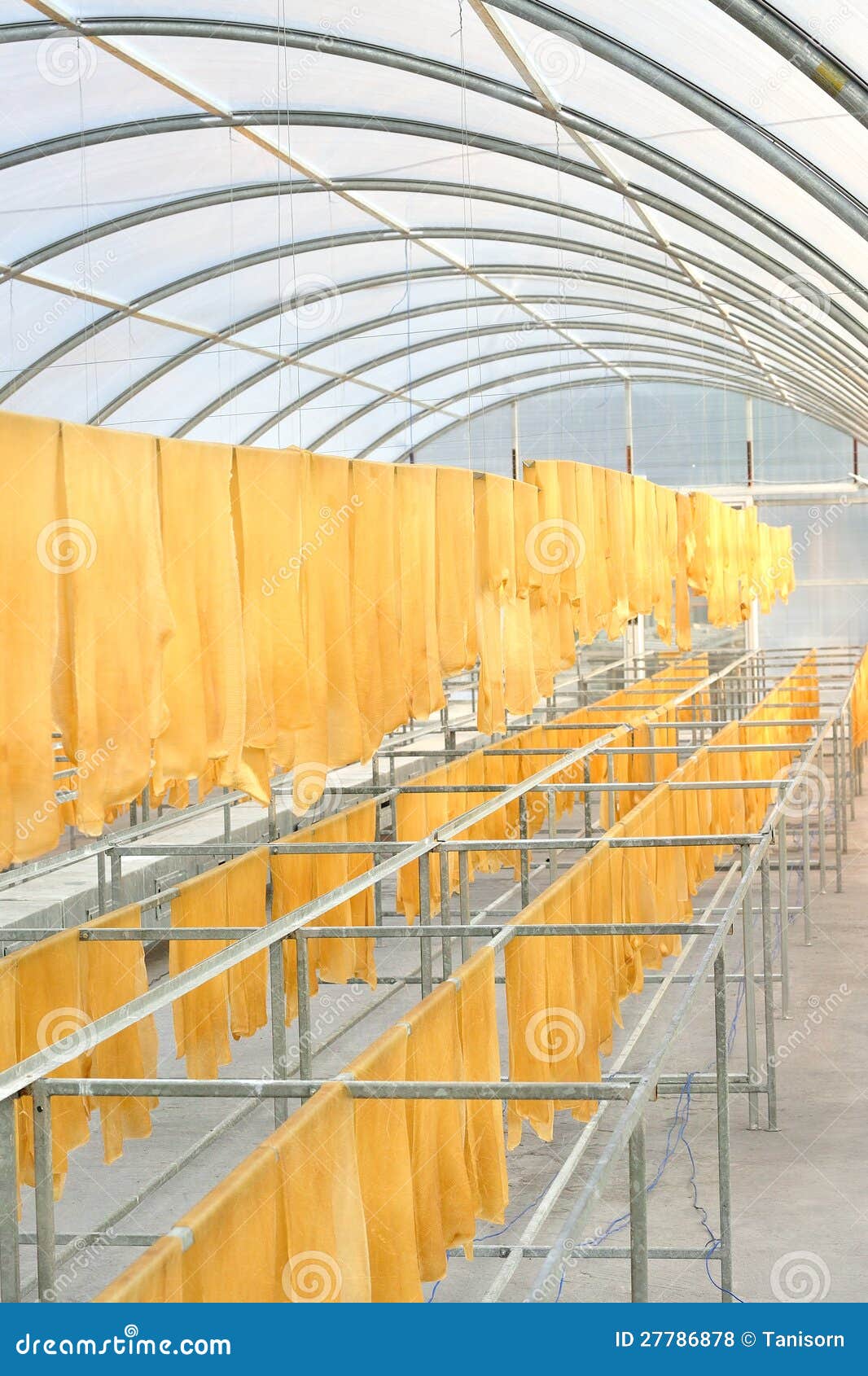 Rubber Sheet in Solar Drying Chamber Stock Photo - Image of product ...