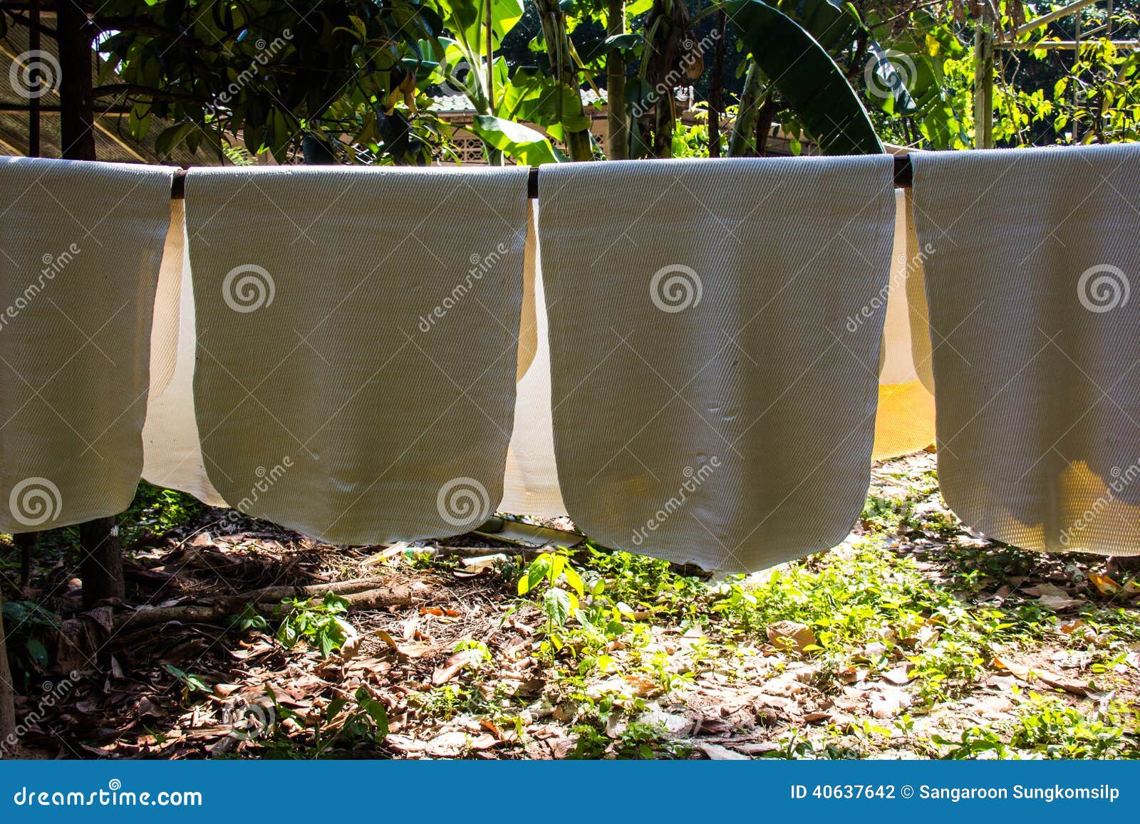 Rubber sheets stock photo. Image of para, farm, indonesia - 40637642