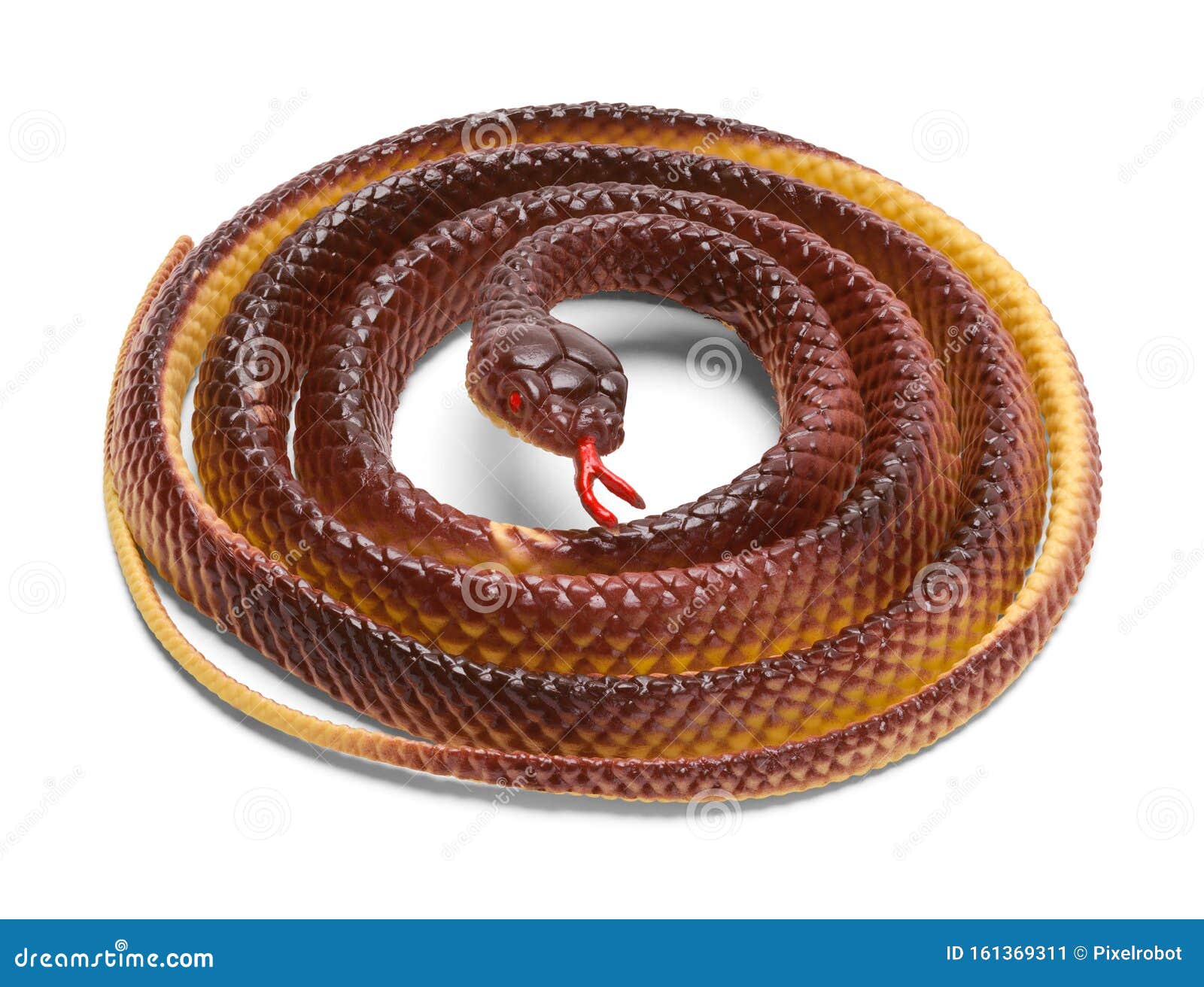 Rubber Snake Royalty-Free Stock Image | CartoonDealer.com #53915422