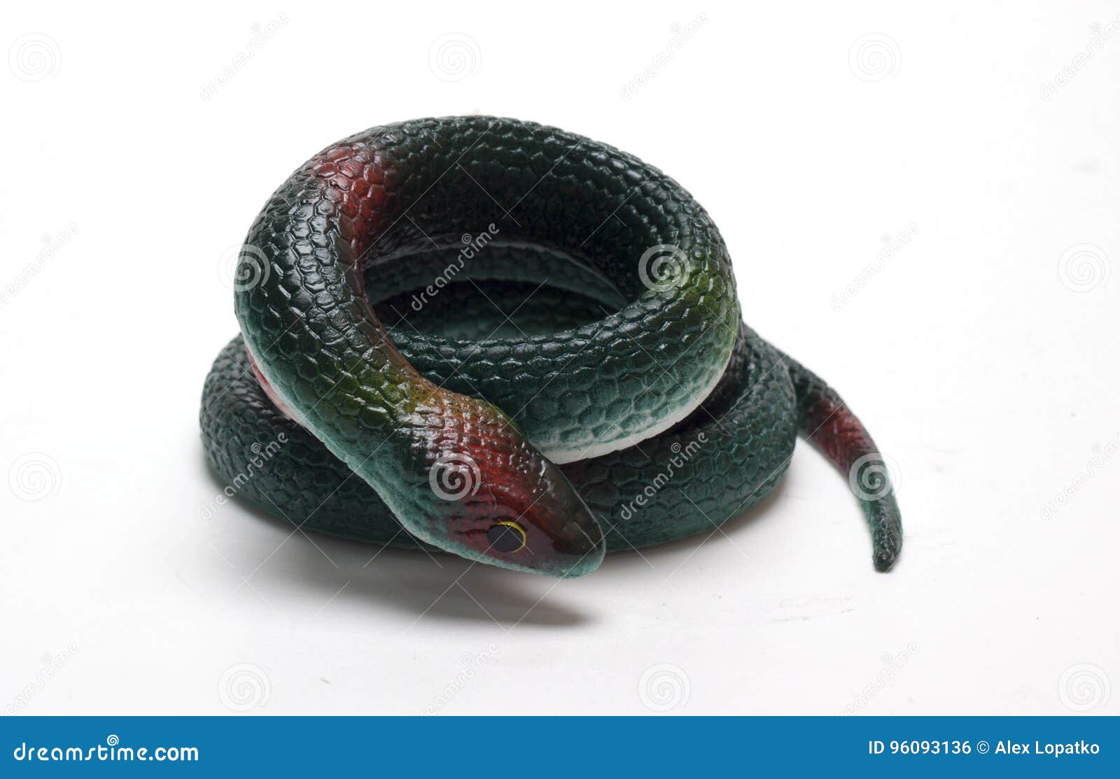 Rubber Snake Royalty-Free Stock Image | CartoonDealer.com #53915422