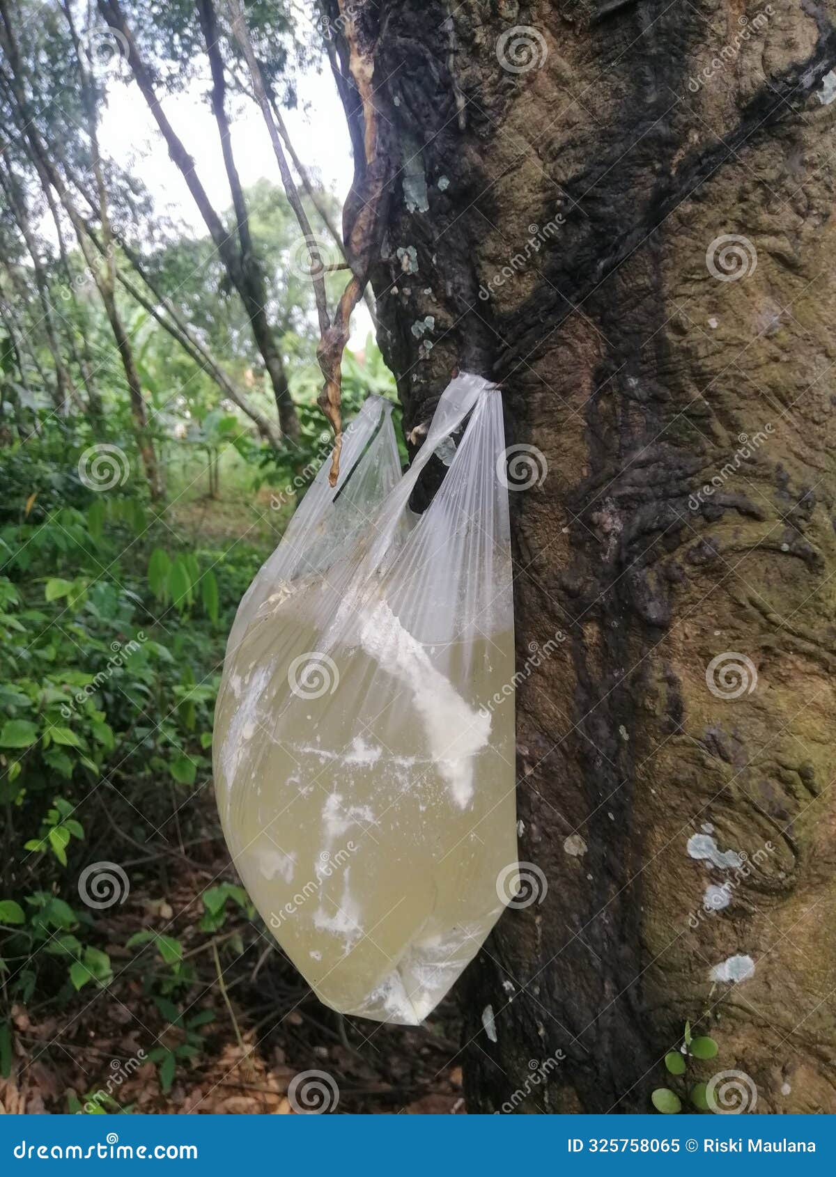 Rubber Storage Containers that Use Plastic Stock Image - Image of ...