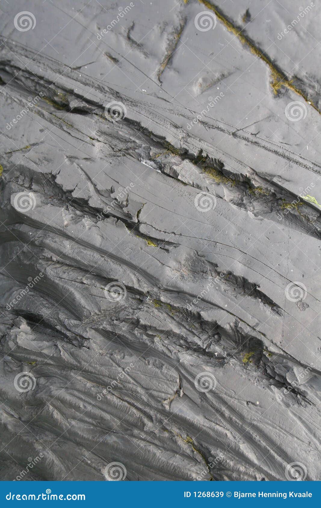 Rubber Texture Royalty-Free Stock Photography | CartoonDealer.com #1268639