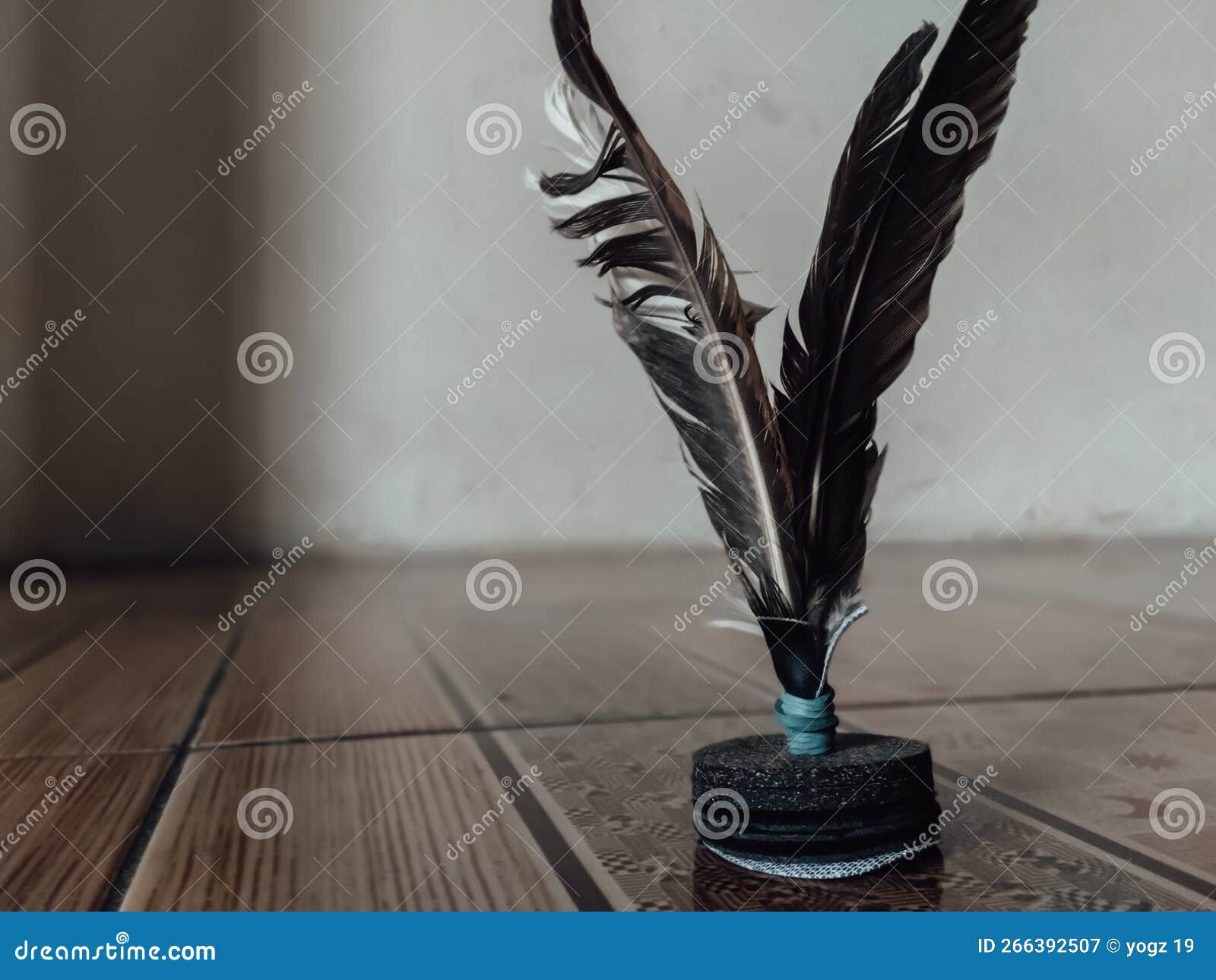 Rubber Tied with Feathers on the Floor Stock Image - Image of feathers ...