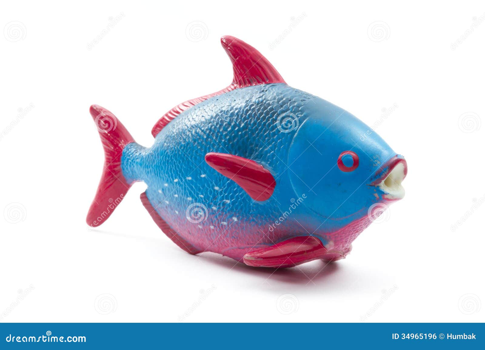 Rubber toy fish stock photo. Image of colorful, rubber - 34965196