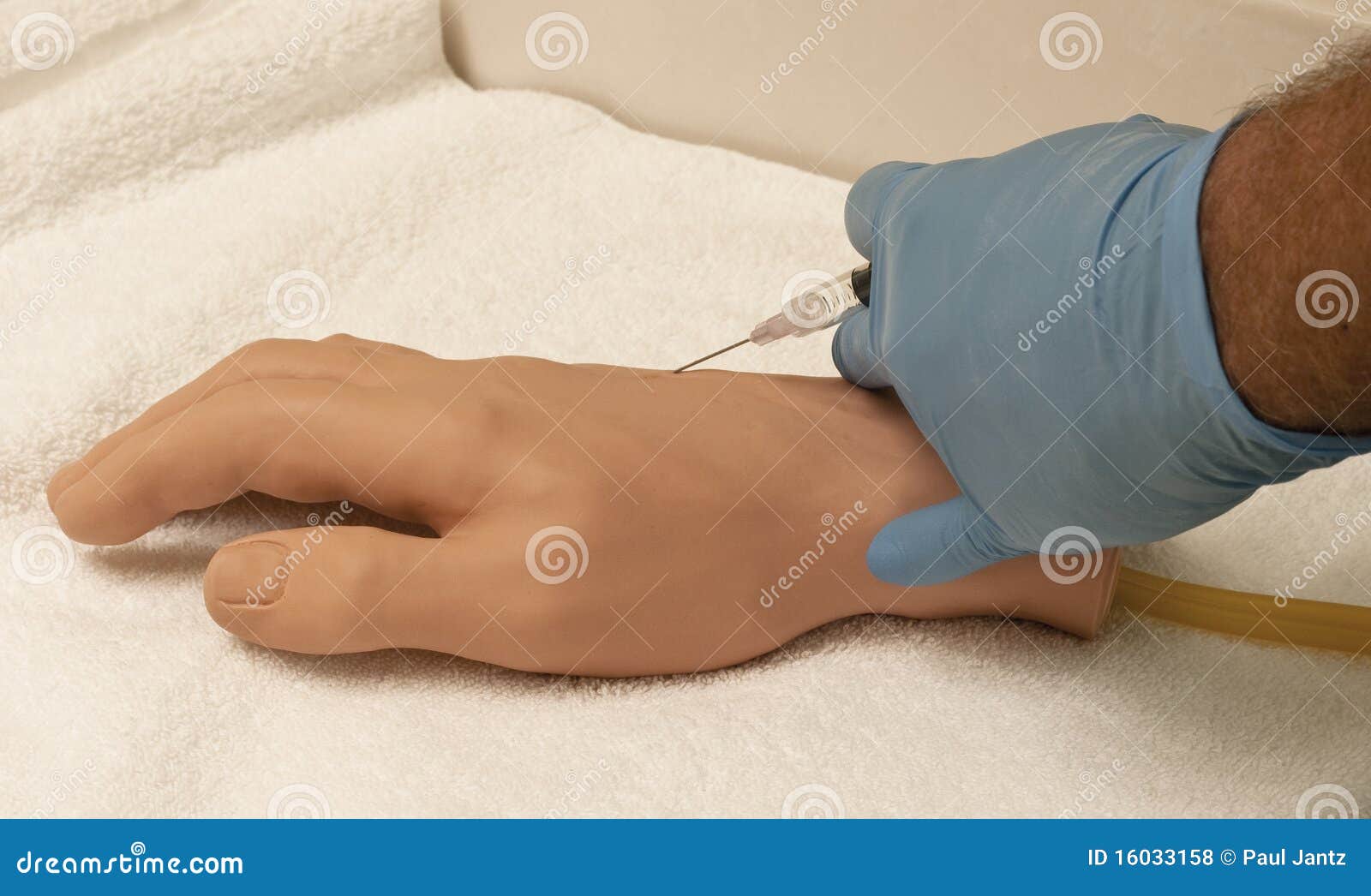Rubber Training Hand for Medical Students Stock Photo - Image of insert ...