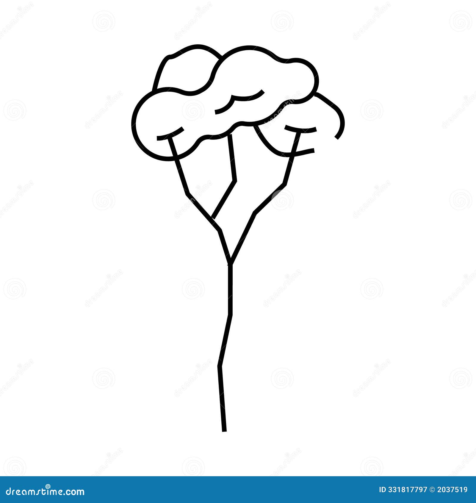 Rubber Tree (Hevea Brasiliensis) In Shady Plantation Stock Photography ...