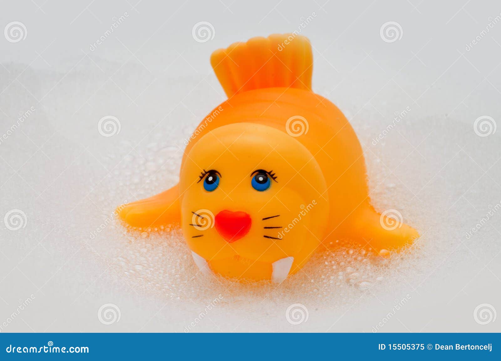 Rubber walrus toy stock image. Image of bath, small, cute - 15505375
