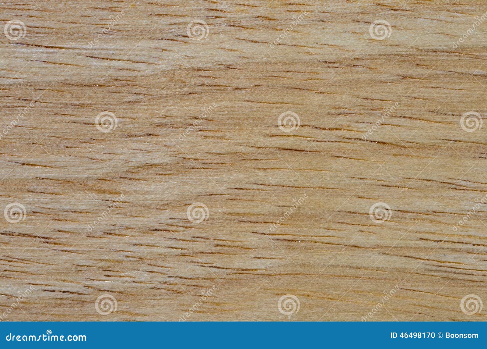 Rubber Wood Texture Background Stock Photo | CartoonDealer.com #46498170