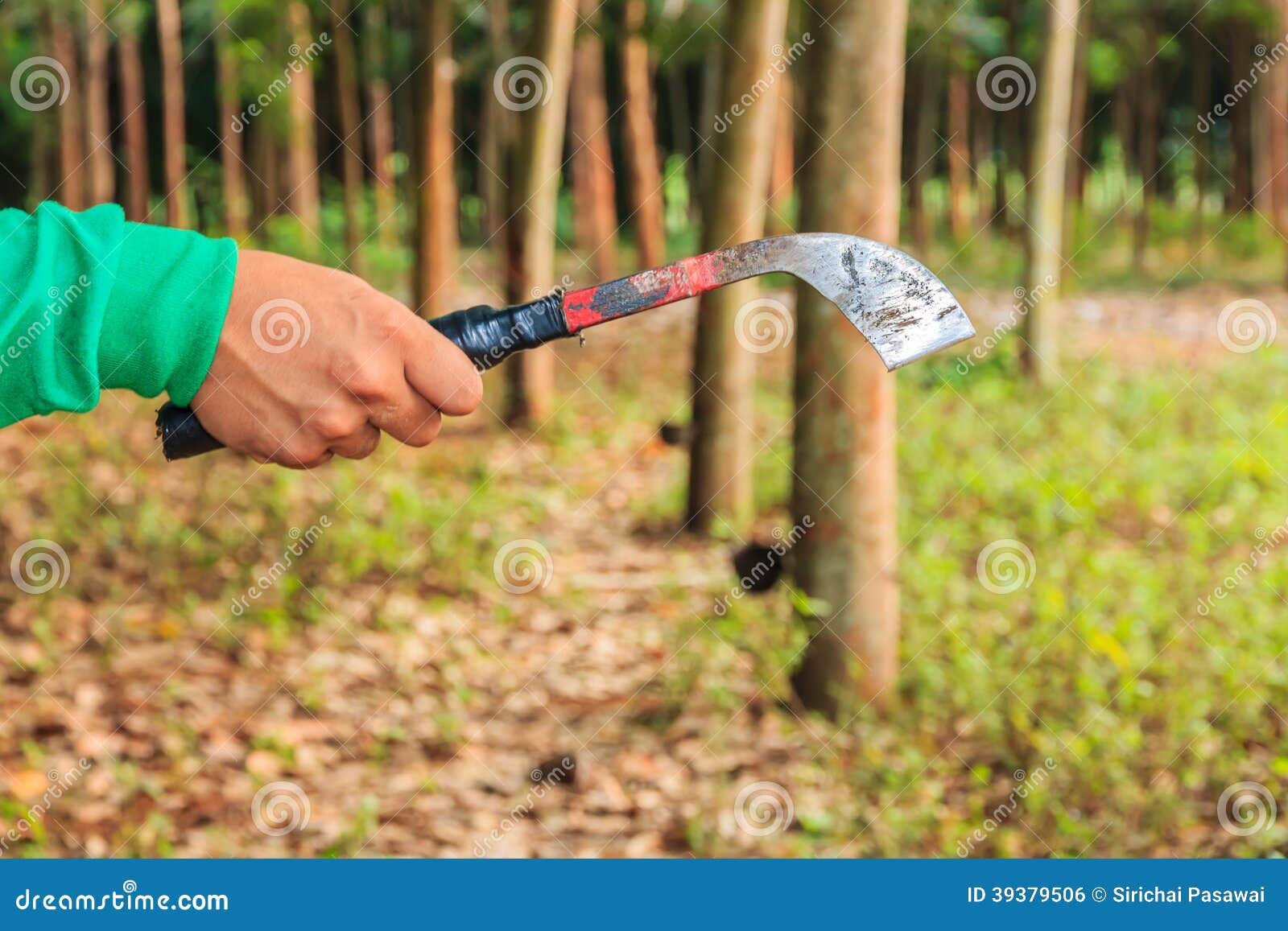 Rubber workers stock photo. Image of slit, worker, hand - 39379506