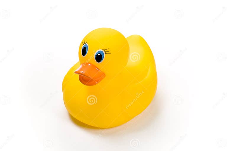 Rubbery Ducky stock photo. Image of isolated, clean, infant - 222998