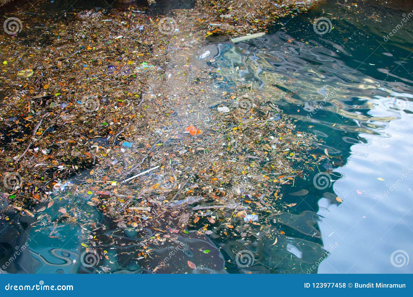 Rubbish Floating on a Surface of the Water. Stock Photo - Image of ...