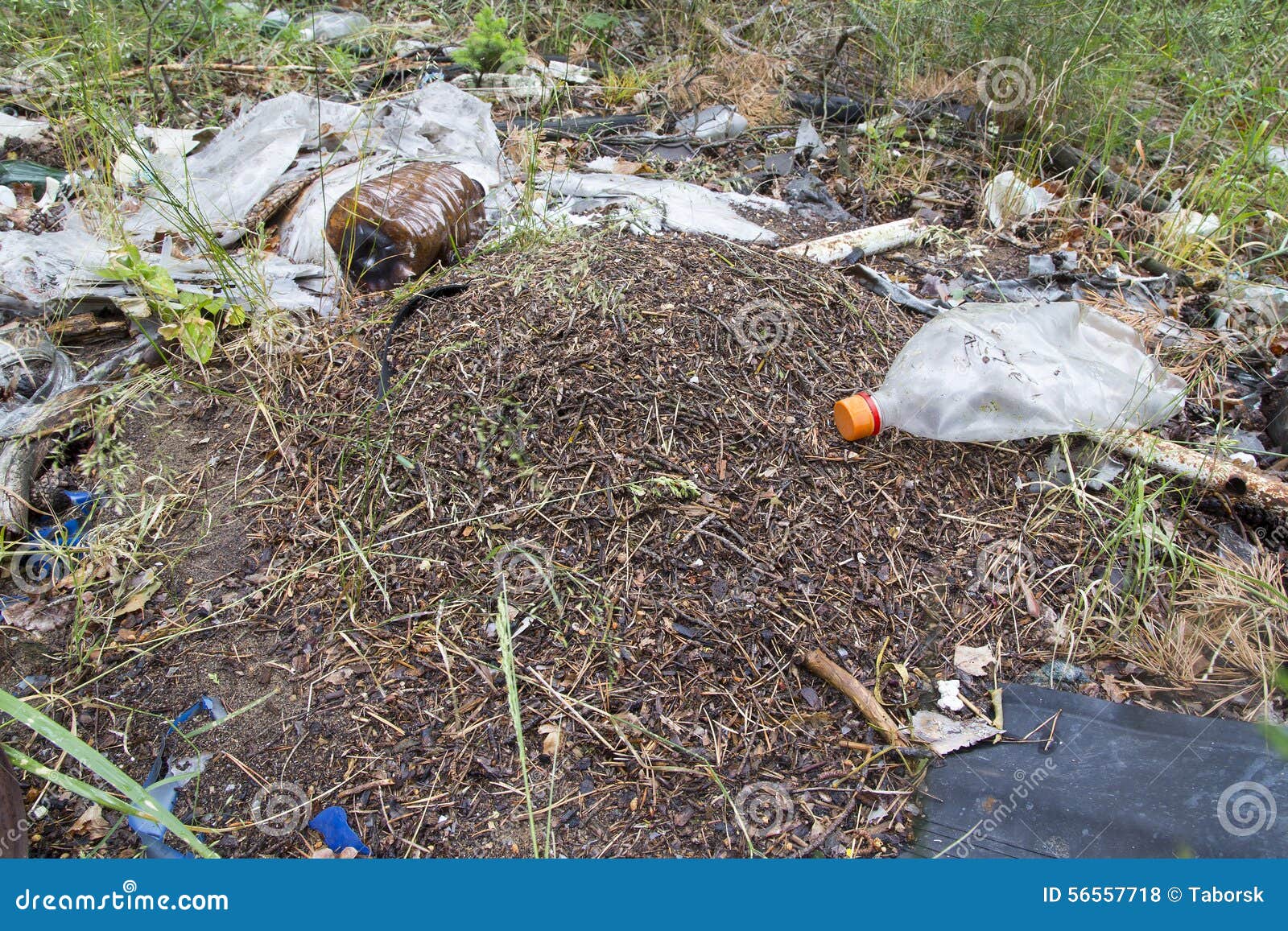 Rubbish in the forest stock photo. Image of junk, conservation - 56557718