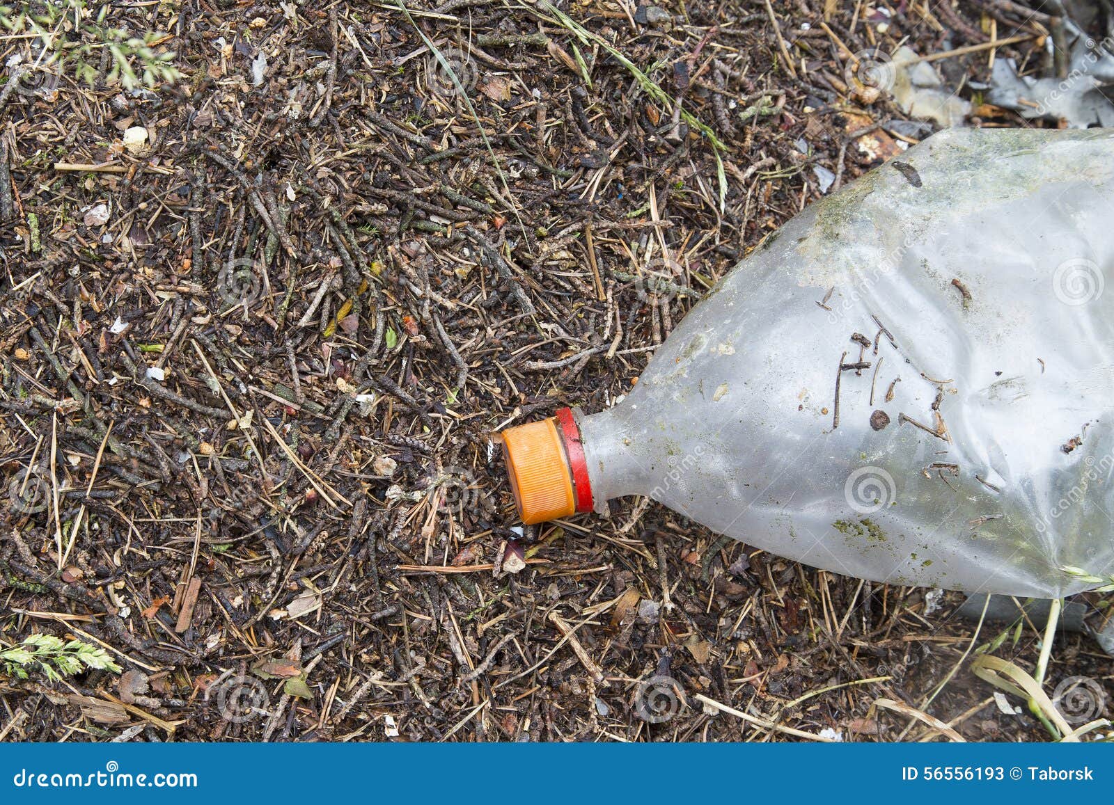 Rubbish in the forest stock image. Image of outdoors - 56556193