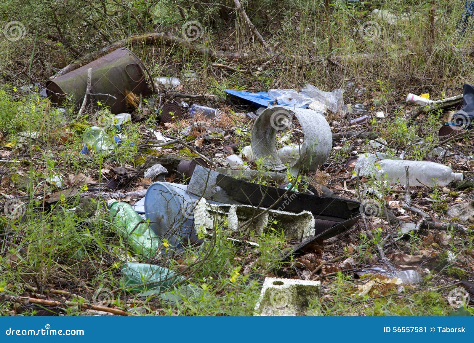 Rubbish in the forest stock image. Image of dump, package - 56557581