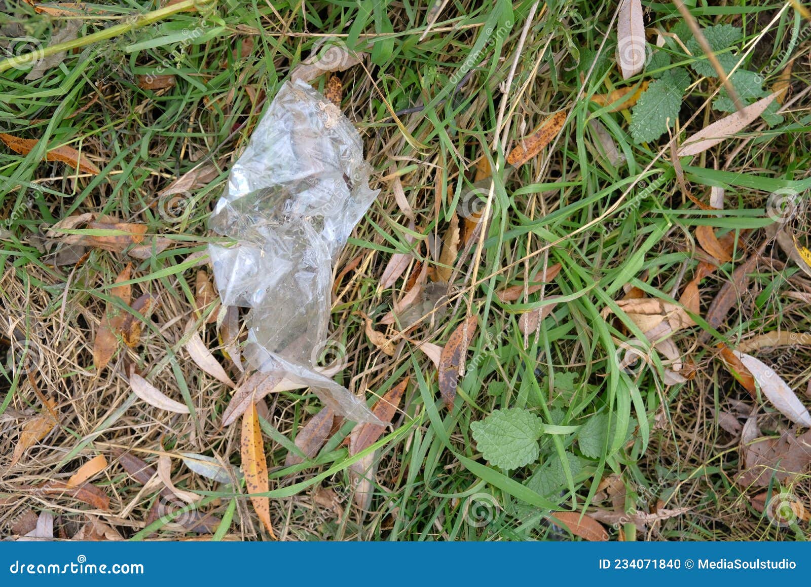 Rubbish in the grass stock photo. Image of pollution - 234071840