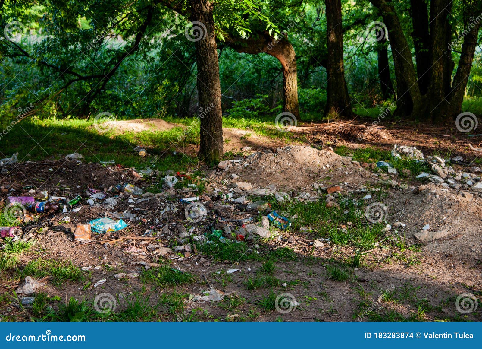 Rubbish. Plastic Rubbish in Natural Forest. Waste Materials and Other ...