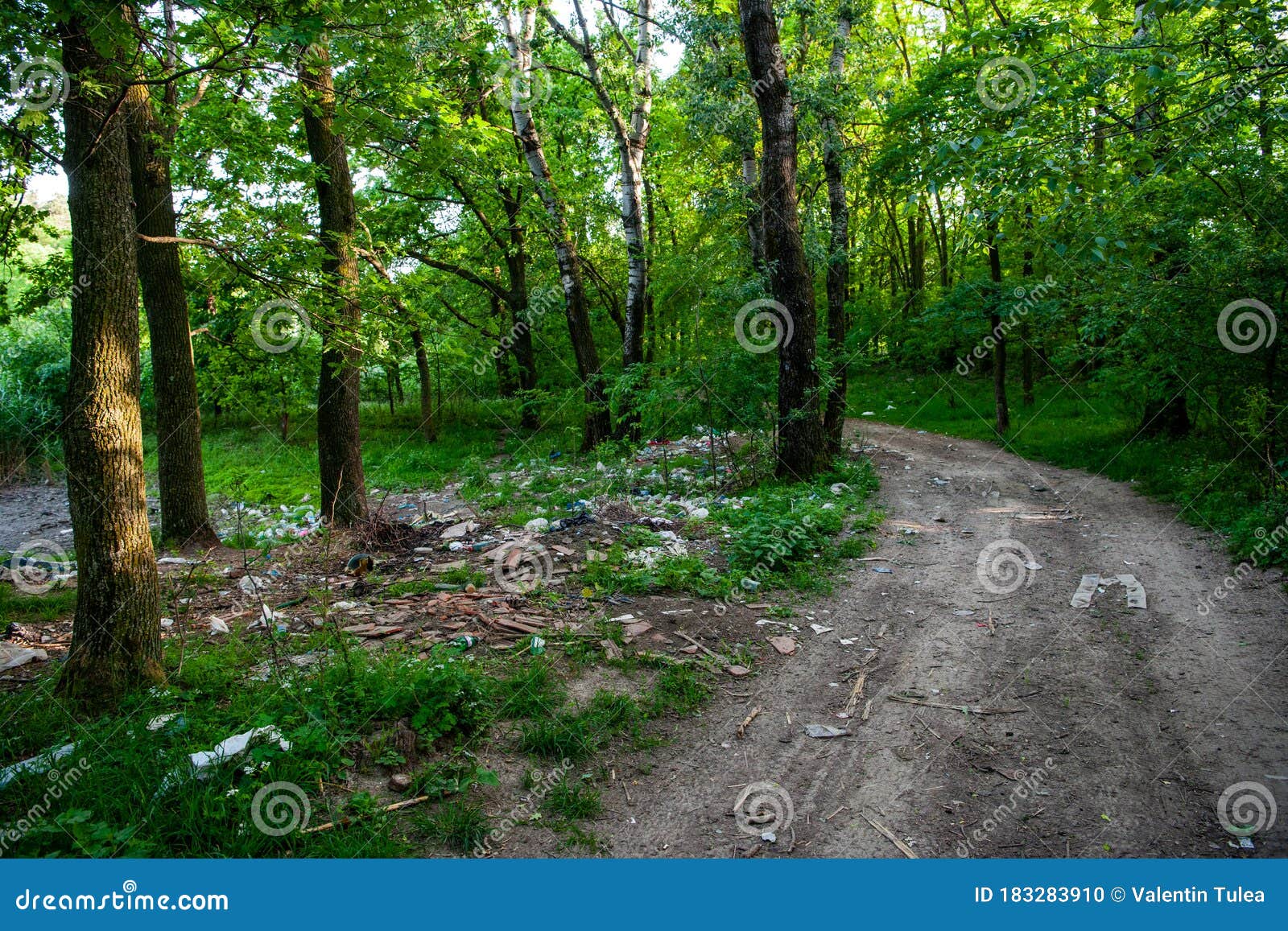 Rubbish. Plastic Rubbish in Natural Forest. Waste Materials and Other ...