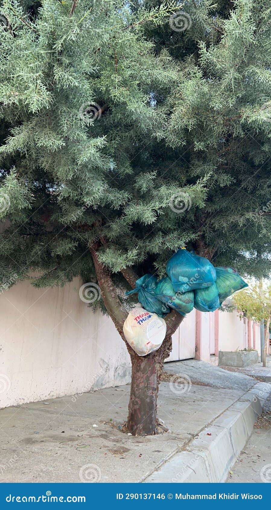 Rubbish on a tree stock photo. Image of garden, green - 290137146