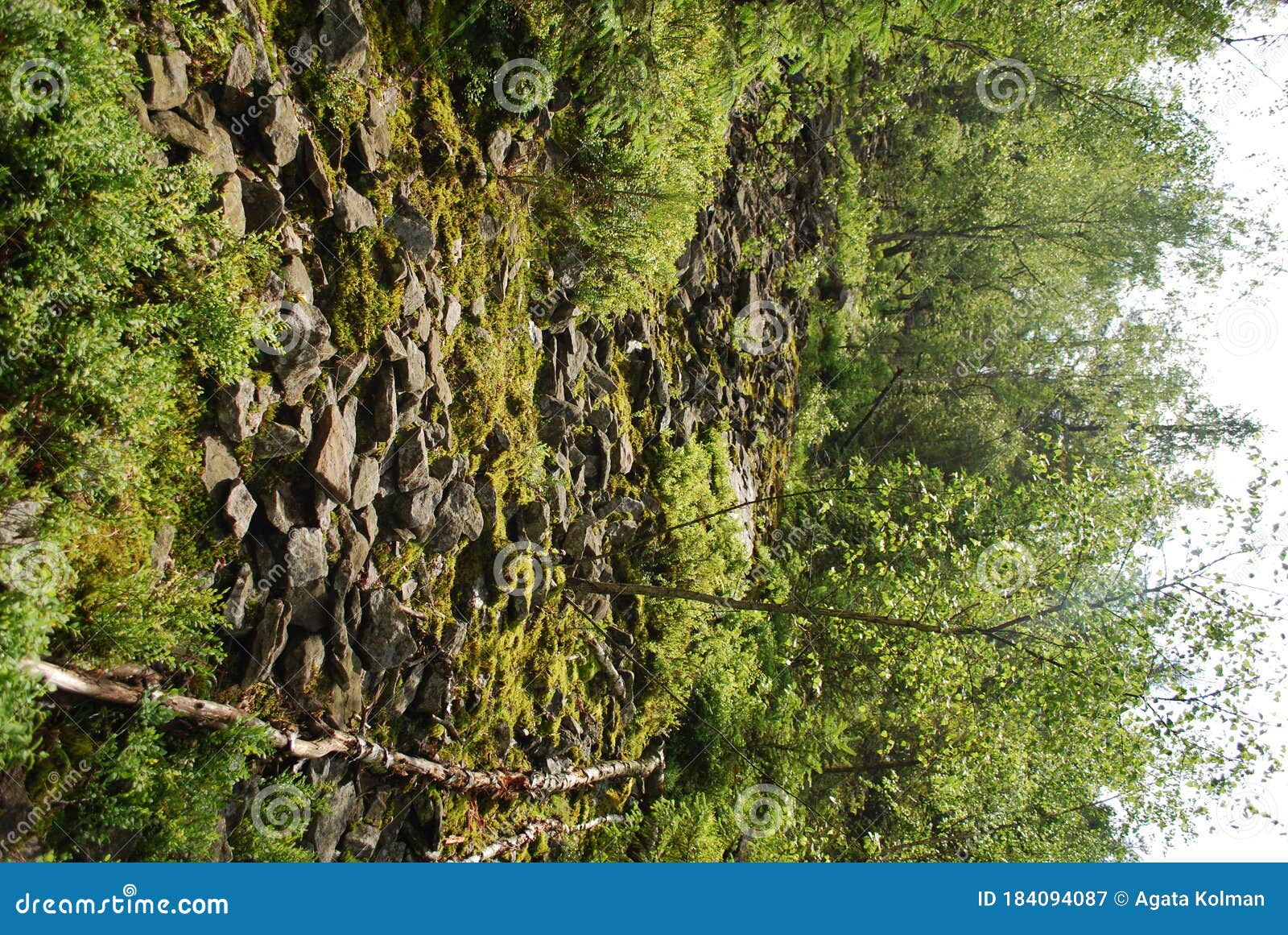 Royalty Free Images, Cartoons, Illustrations And Photos Designed By ...