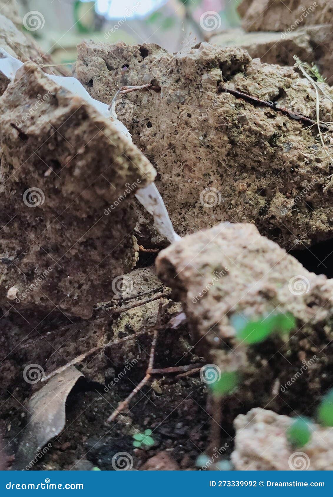 Rubble Rocks that Look so Beautiful with an Elegant Impression Stock ...