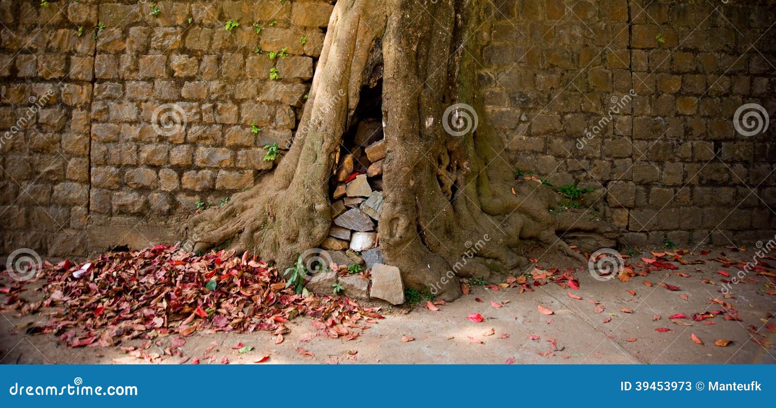 Rubble tree wall stock image. Image of rubble, rocks - 39453973
