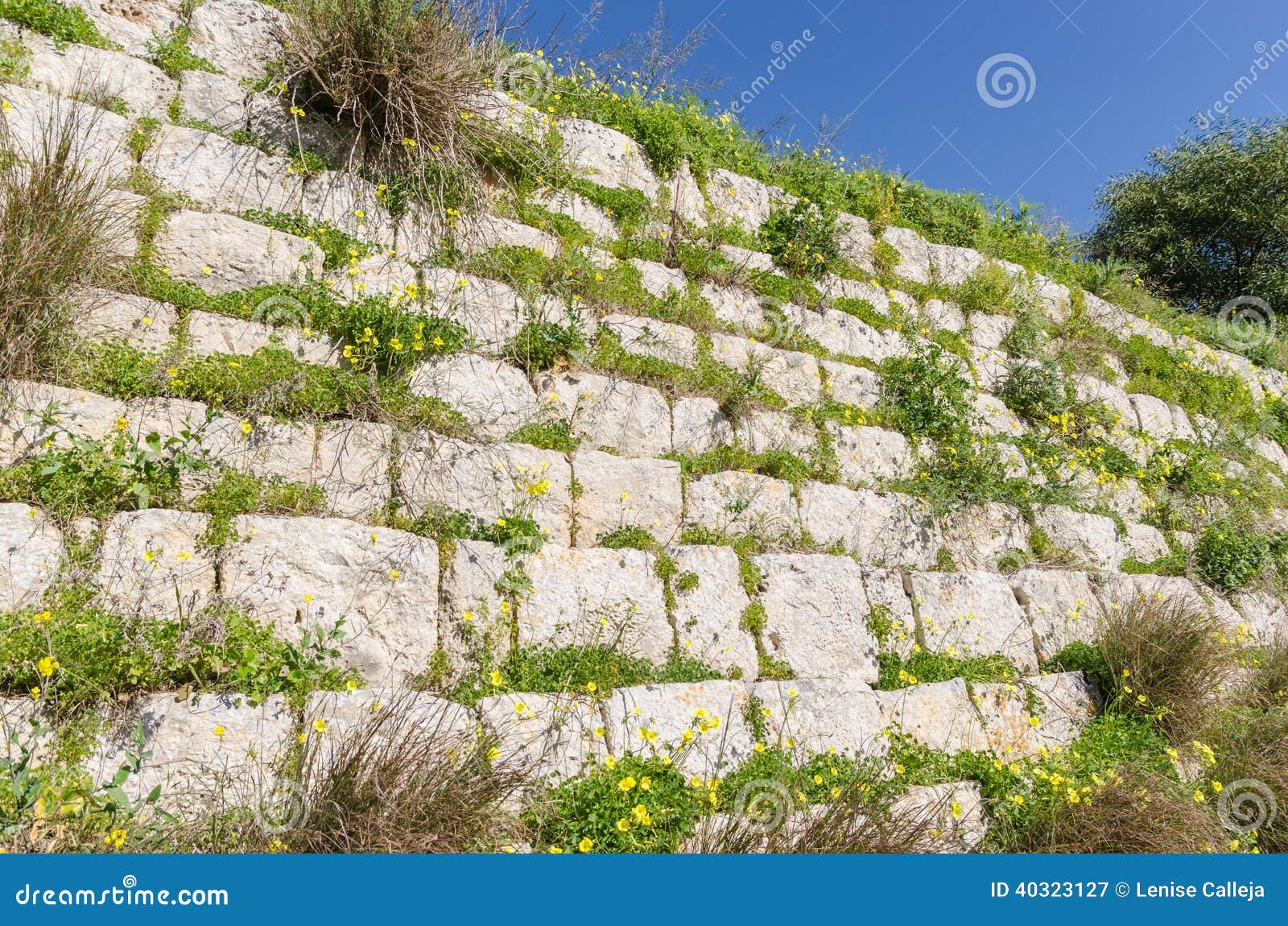 Rubble Wall in Chadwick Lakes - Malta Stock Image - Image of ...