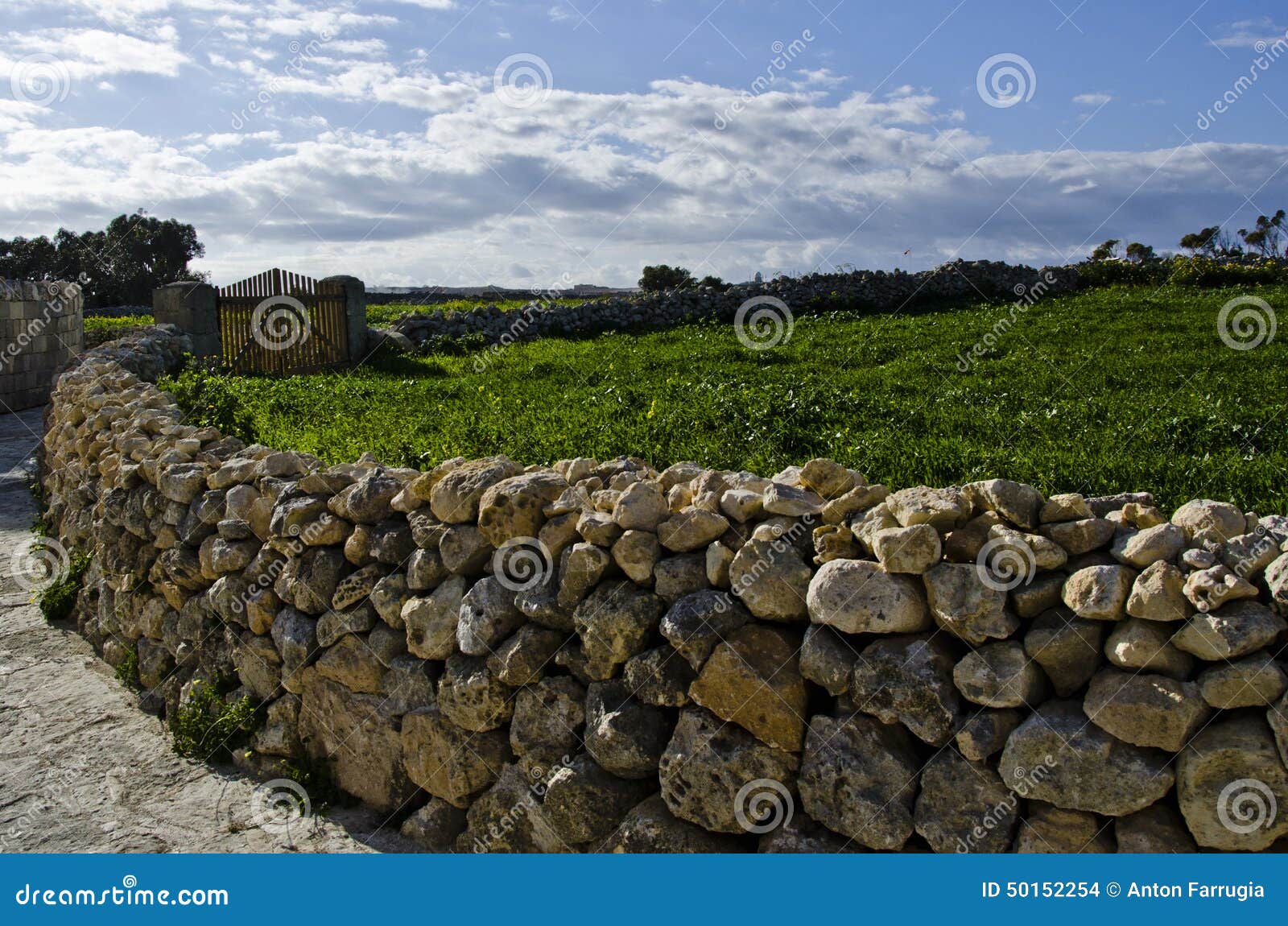 Rubble wall stock photo. Image of malta, fields, cultivate - 50152254
