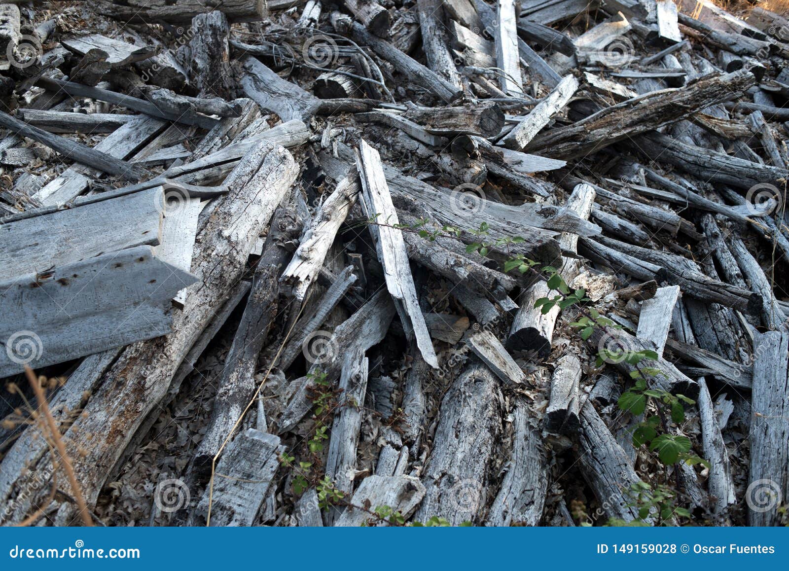 Rubble, wood debris stock photo. Image of wood, demolition - 149159028
