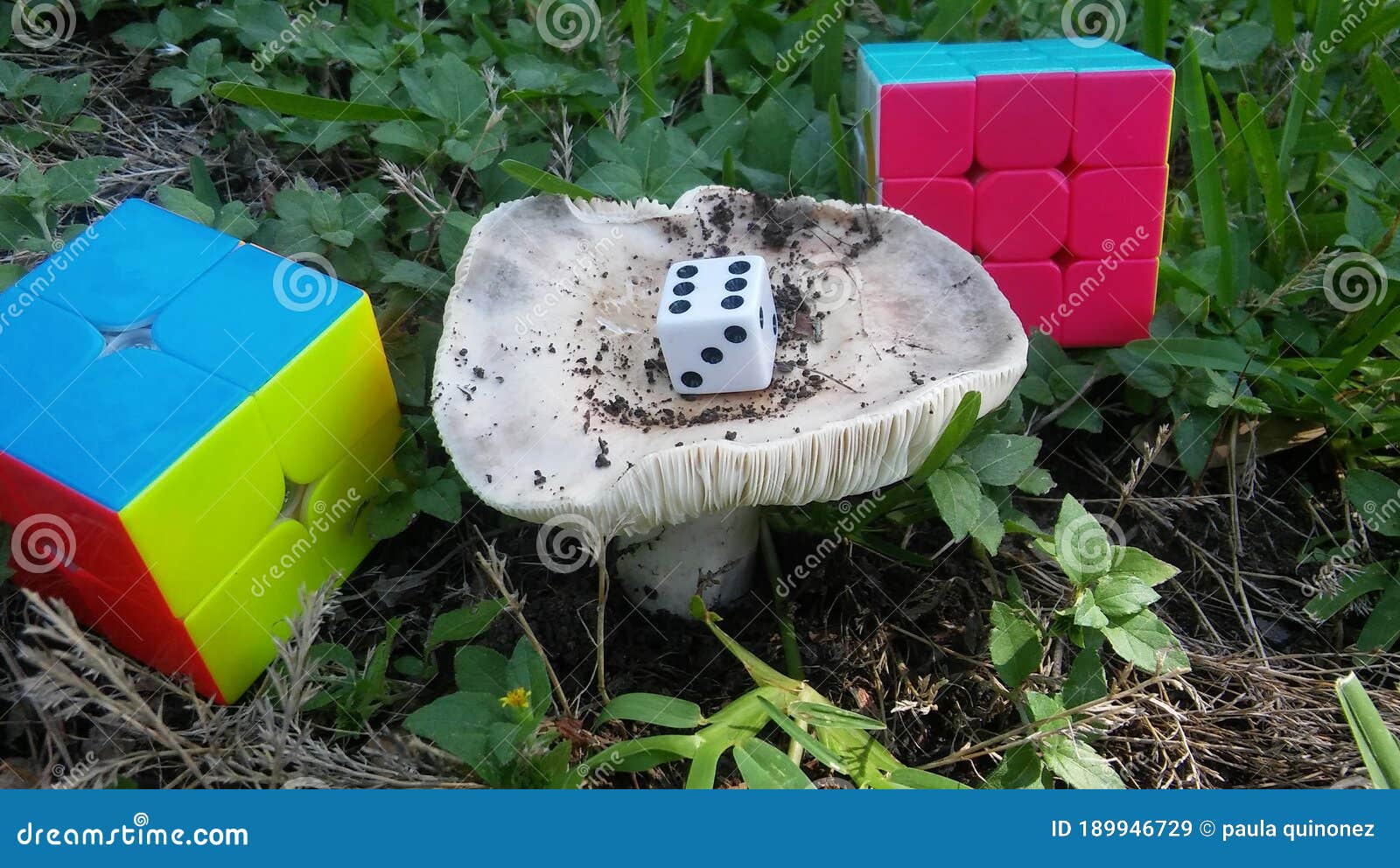 Rubick& X27;s Cube Mushrooms and a Dice Editorial Stock Image - Image ...