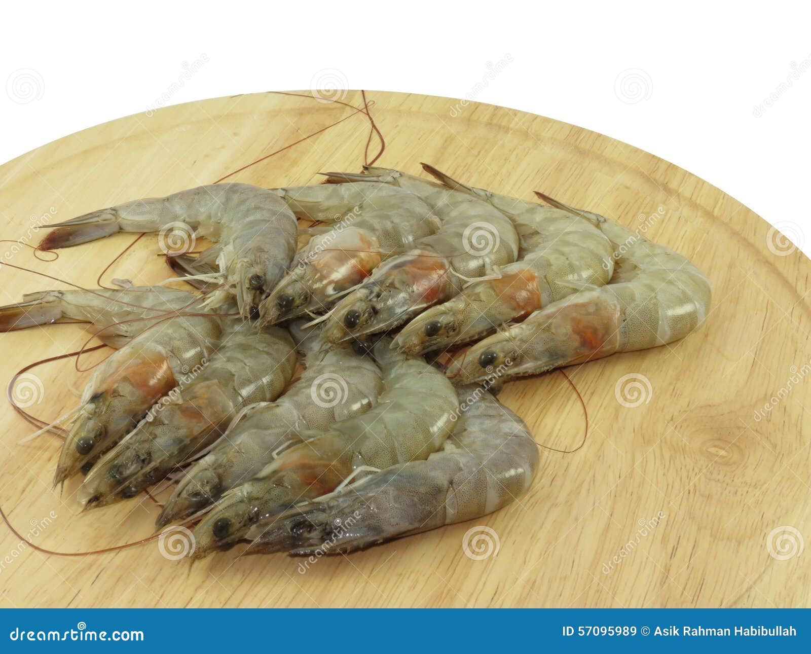 Rubiyan shrimps prawns stock image. Image of seafood - 57095989