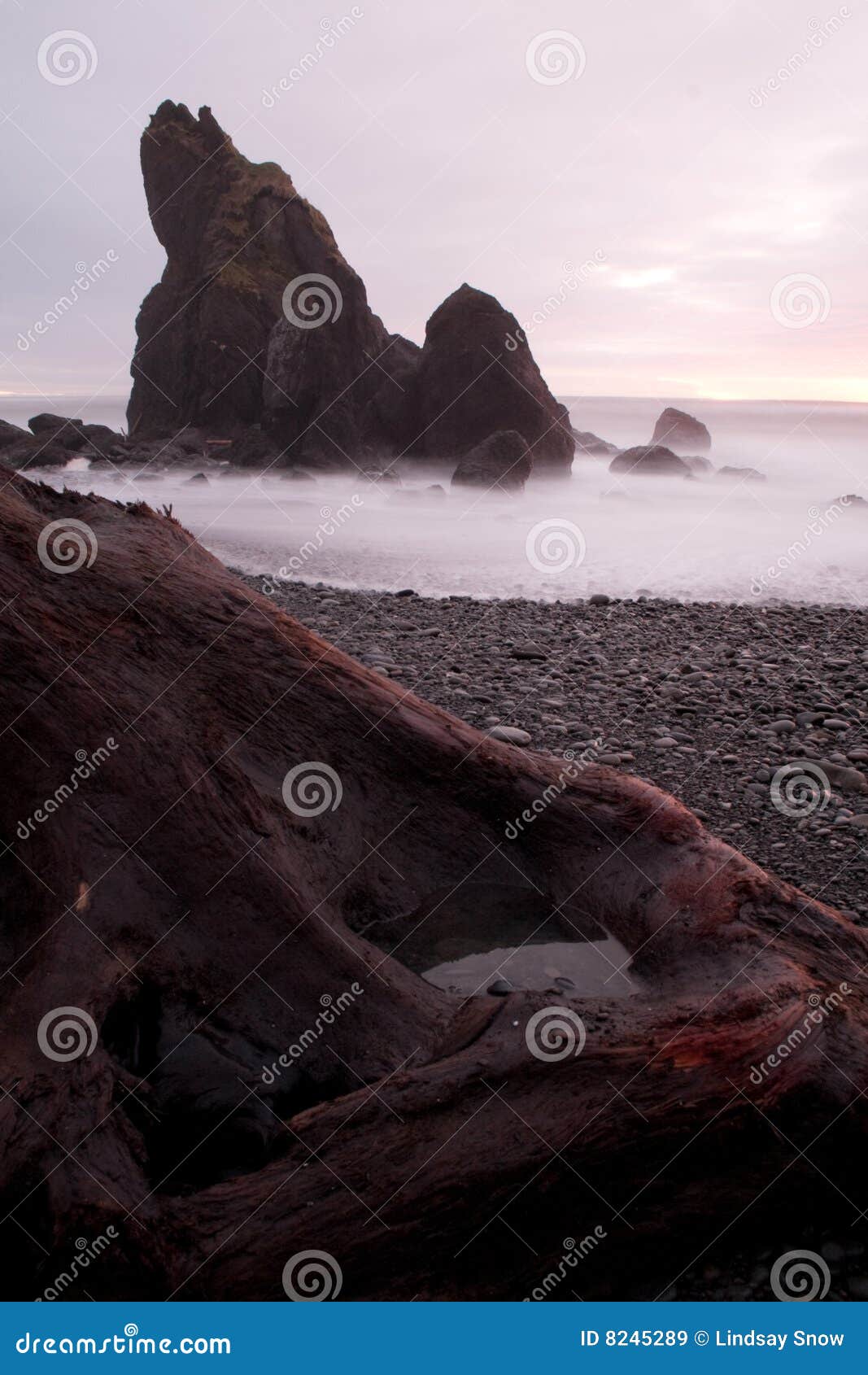 Ruby Beach stock image. Image of outdoor, stack, national - 8245289